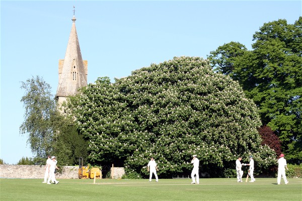 About us – Frocester Cricket Club