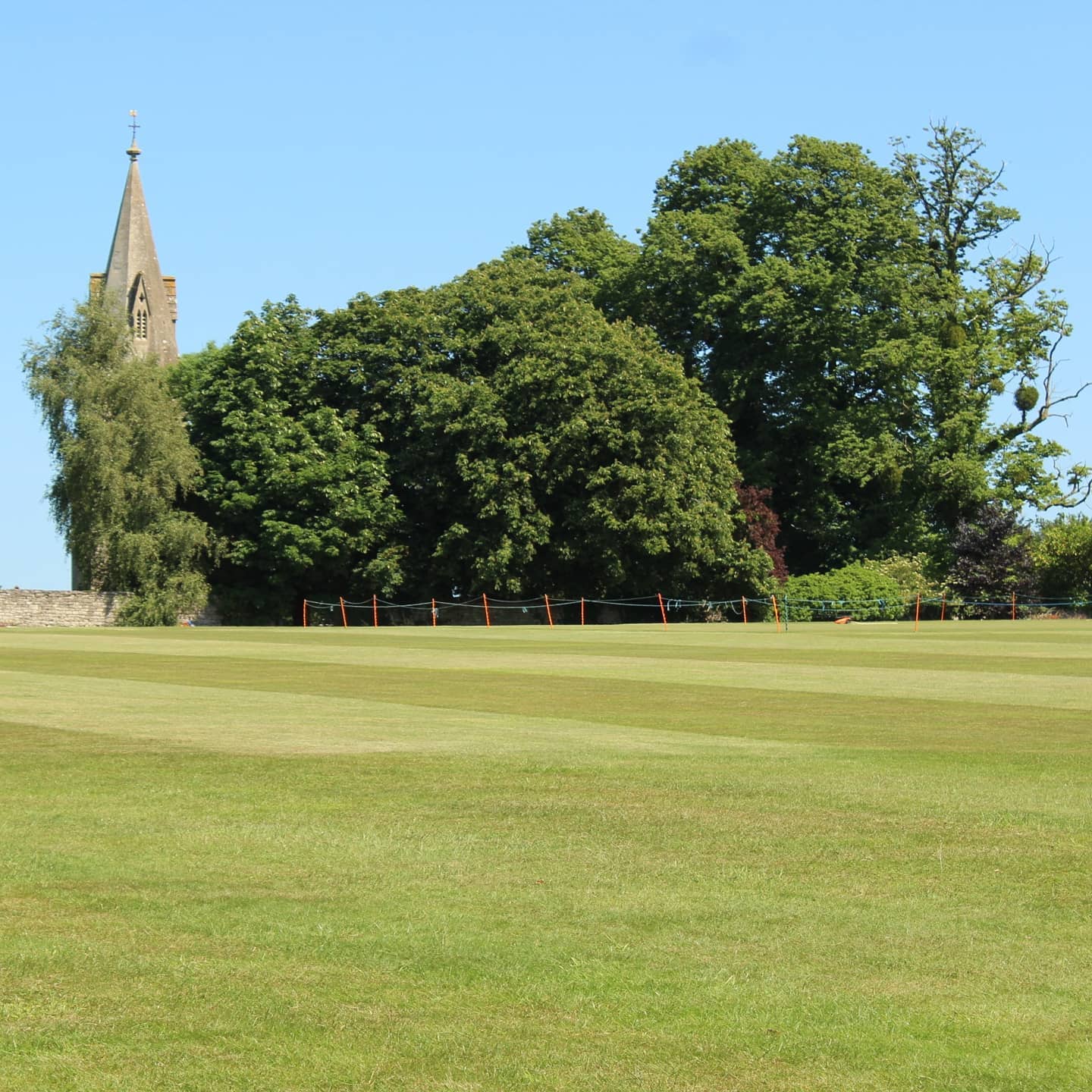 Will cricket return this summer? – Frocester Cricket Club